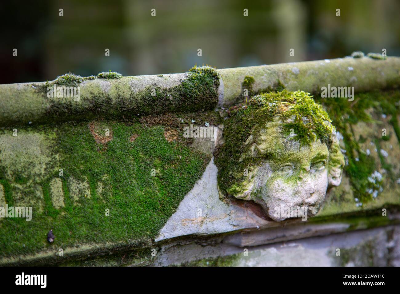 Closeup of a sculpture of a head of an angel with moss on it Stock ...