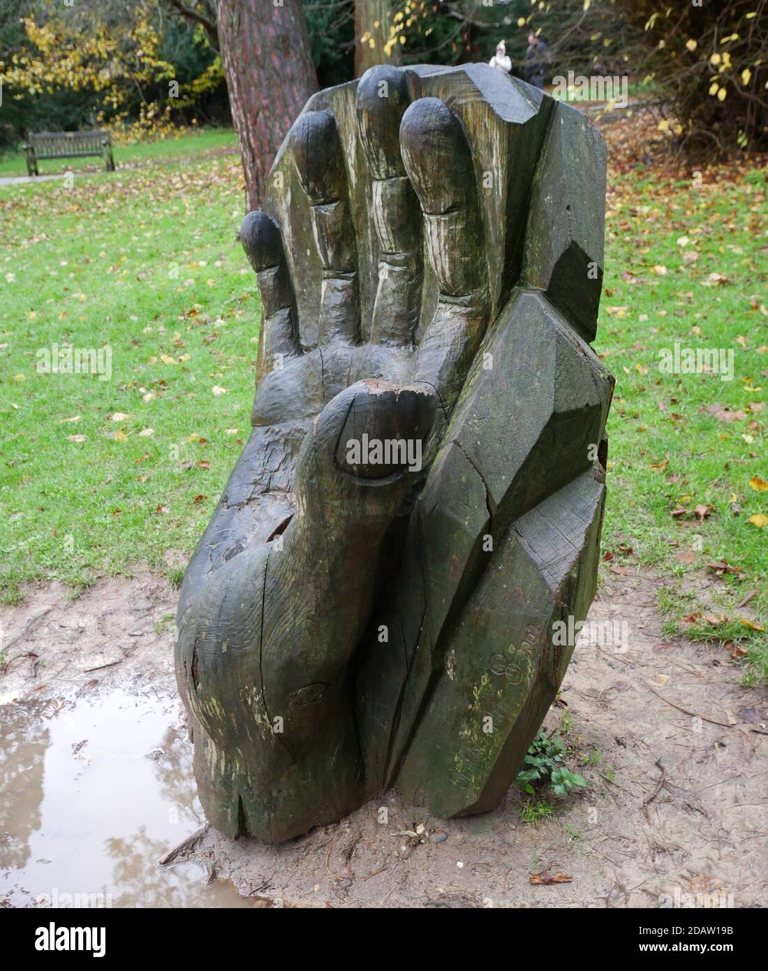 Kent elms hi-res stock photography and images - Alamy