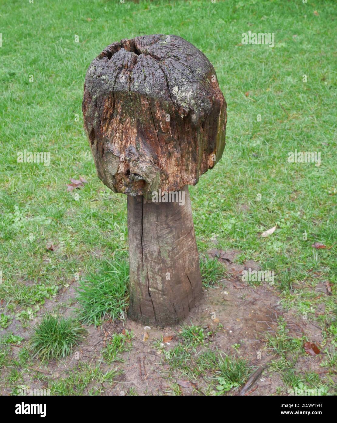 HIgh Elms, Bromley, Kent, England Stock Photo - Alamy