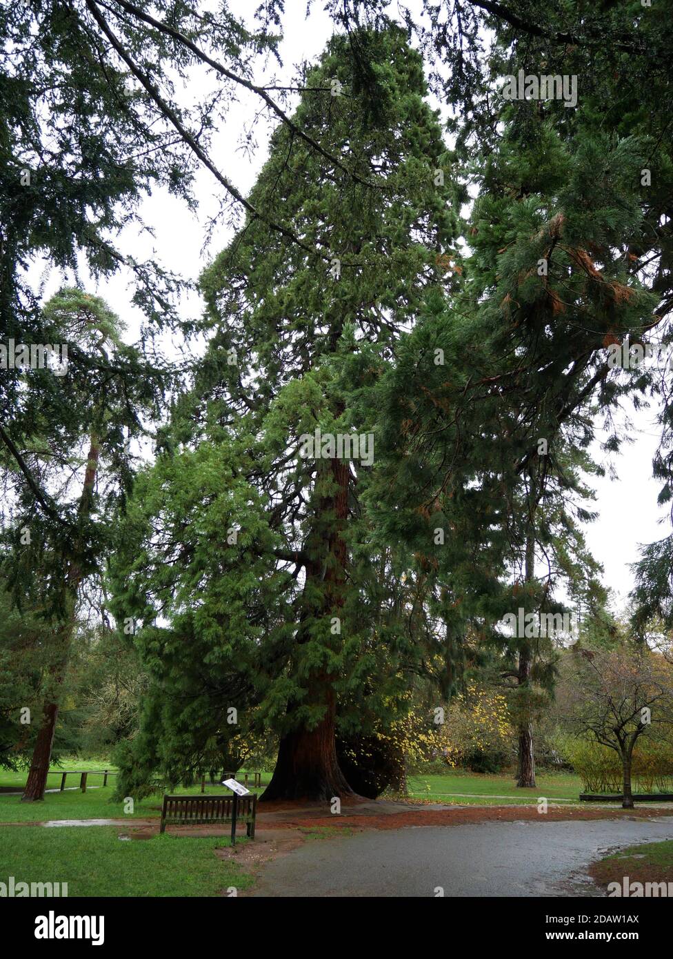 HIgh Elms, Bromley, Kent, England Stock Photo - Alamy