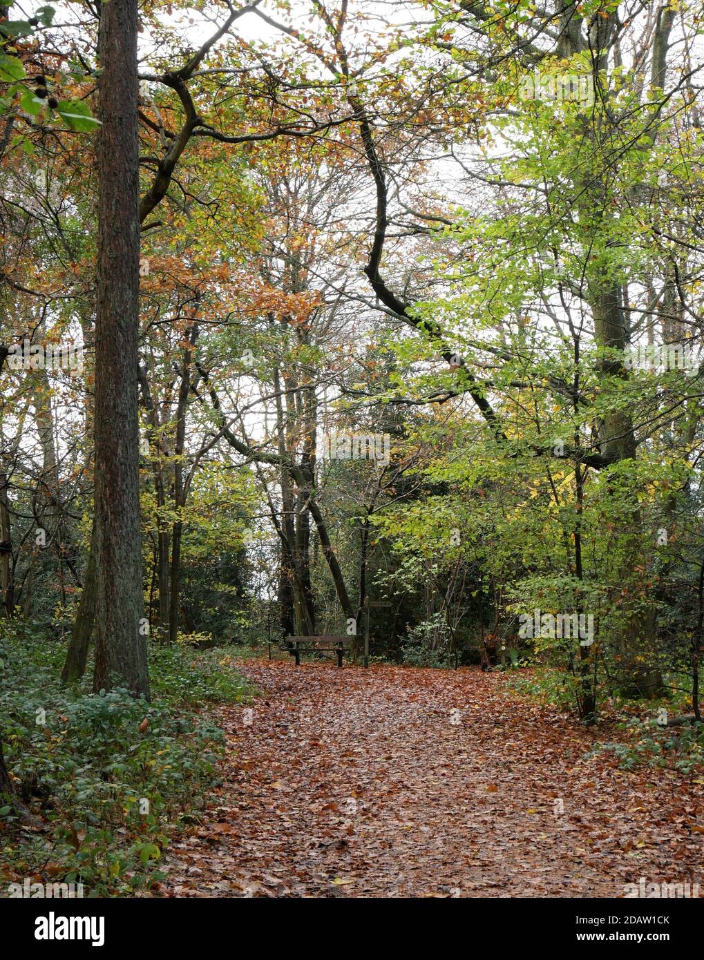HIgh Elms, Bromley, Kent, England Stock Photo - Alamy