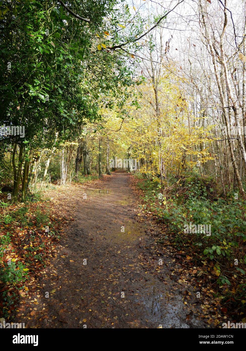 HIgh Elms, Bromley, Kent, England Stock Photo - Alamy