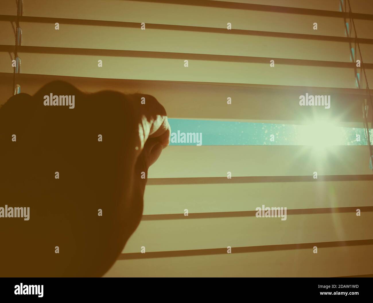 The sun shines through the half-open blinds on the window Stock Photo ...