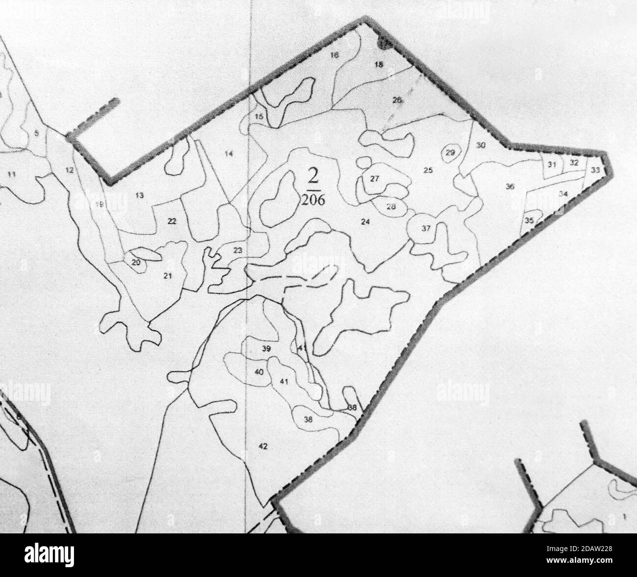 Plan of the land plot with indication of the areas of forests, roads ...