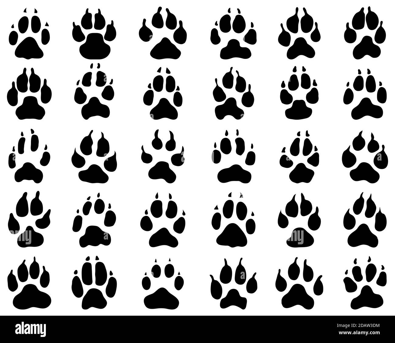 Paw anatomy Black and White Stock Photos & Images - Alamy