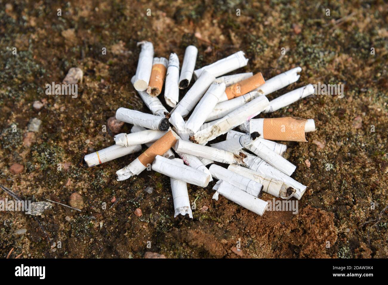 A lot of burnt cigarette butts with some ash. Smoking as a global ...