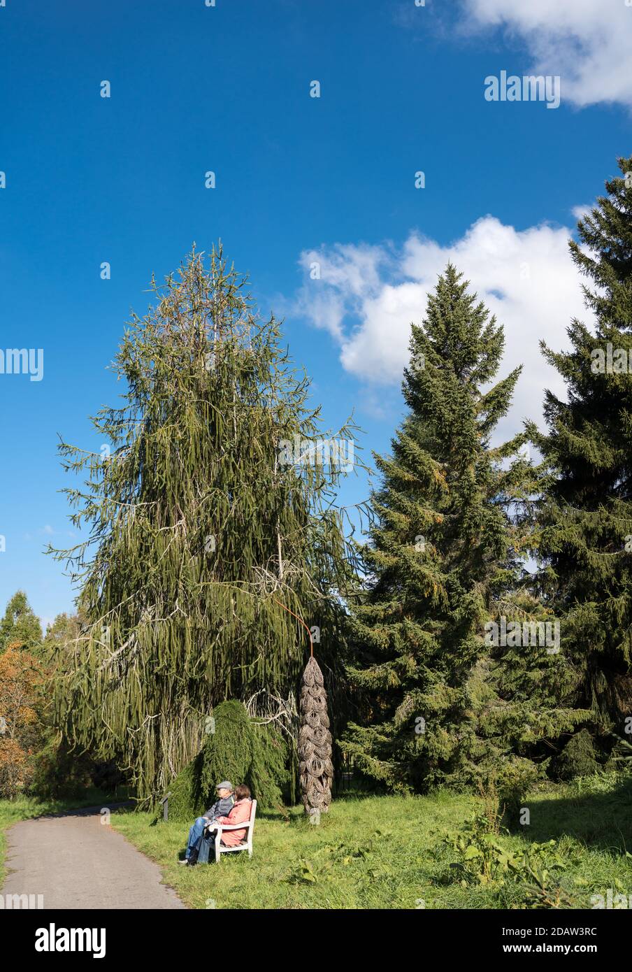 Two people on a bench admiring the trees in the Hillier gardens near ...