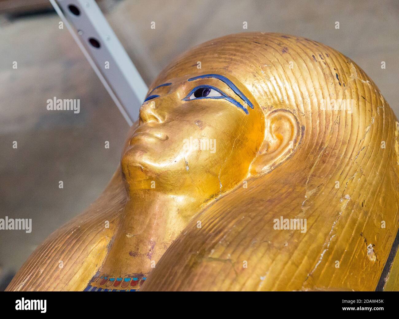 Mummy of thuya hi-res stock photography and images - Alamy