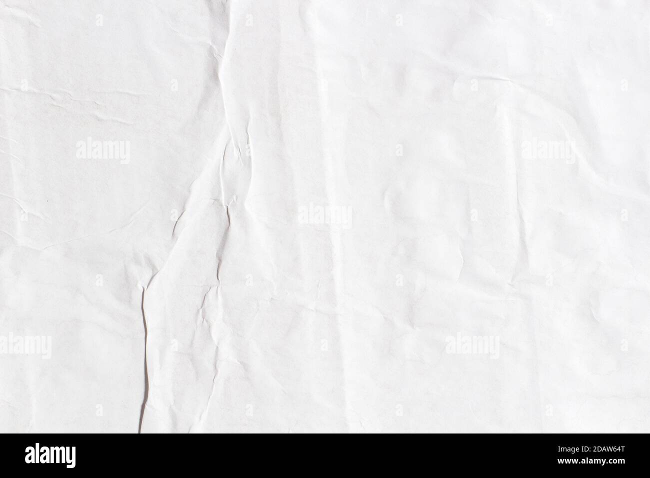 Torn White Paper Texture