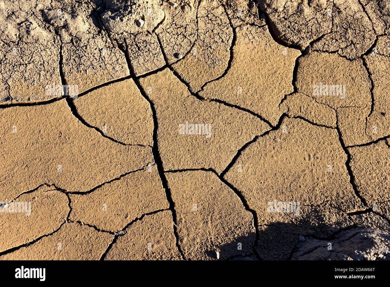 Dry lake or swamp in the process of drought and lack of rain or ...