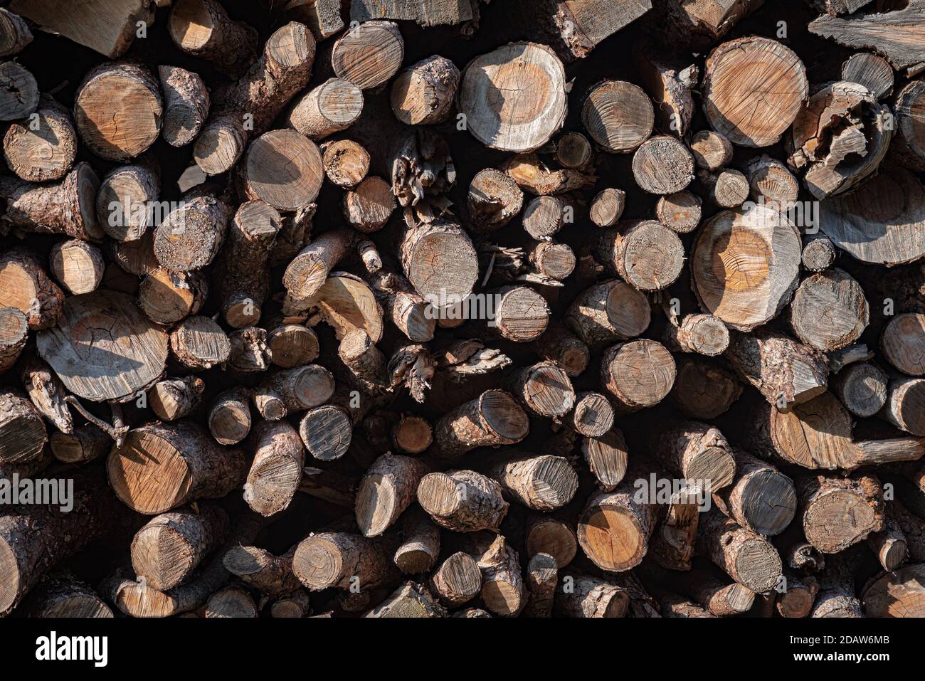 Top view of stacked firewood Stock Photo - Alamy