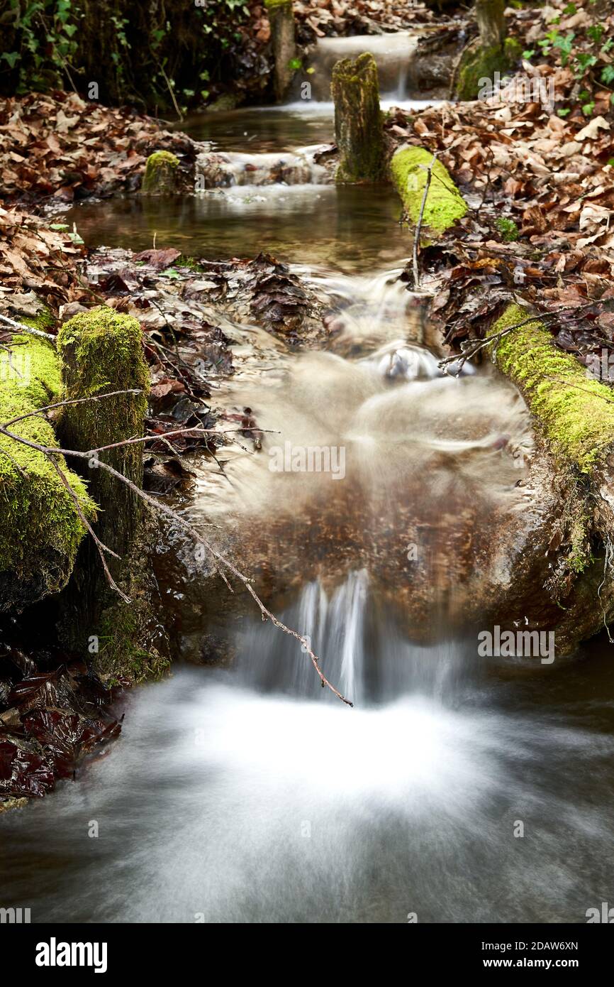 Vertical shot of a fast-flowing river stream with smooth silky water in ...