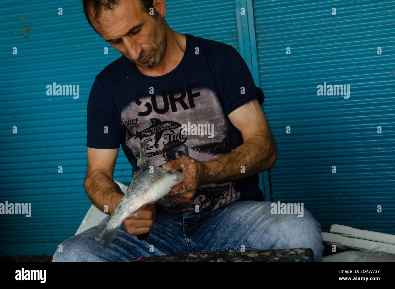 A Turkish fisherman cleaning fish at the fish market of the Black Sea ...