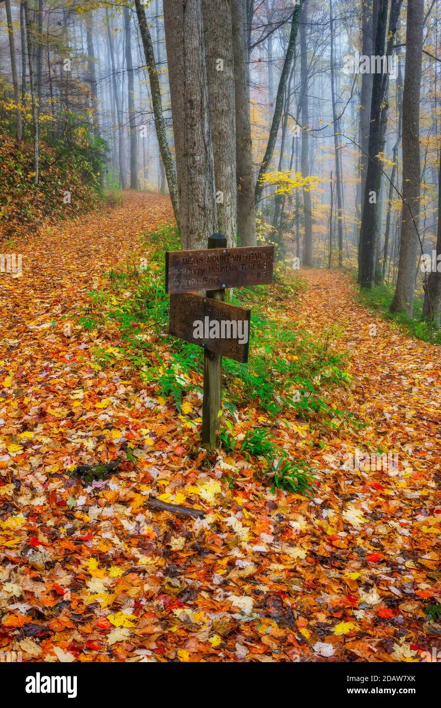 Two roads diverged in a yellow wood hi-res stock photography and images ...