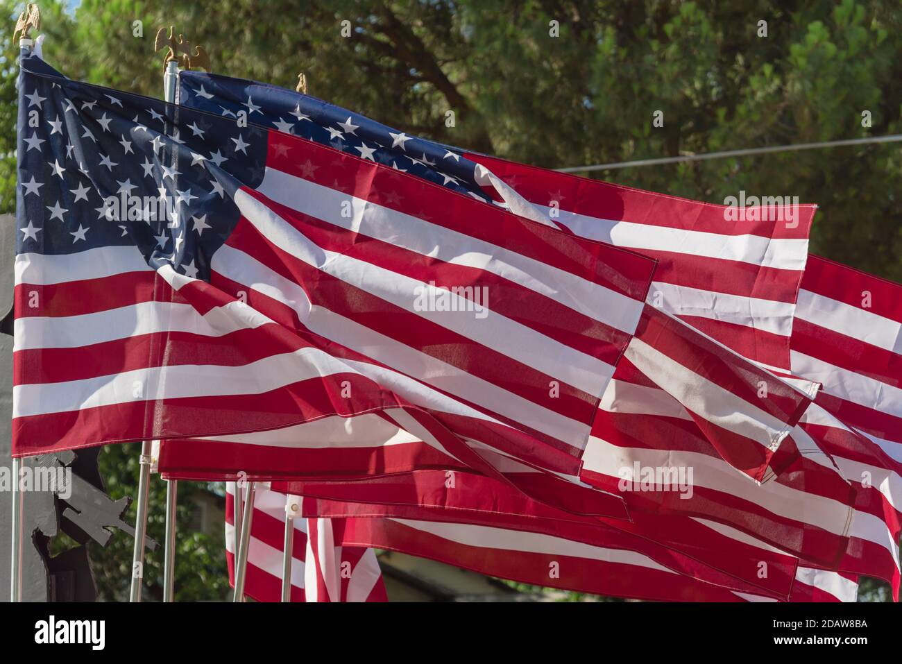 Looking up waving American flags with green trees background at a ...