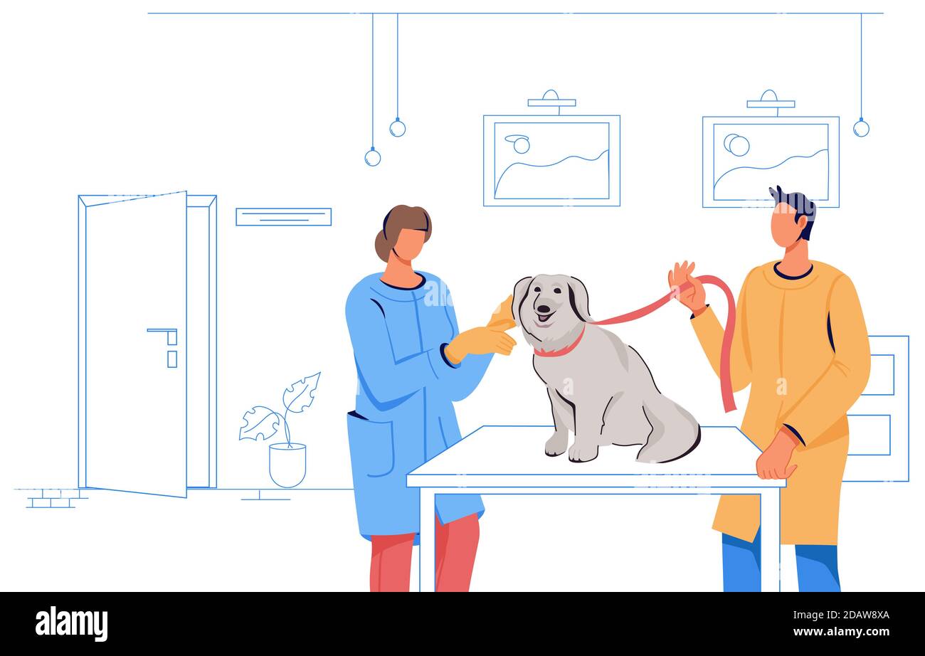 Veterinary doctor examining a sick dog in vet clinic, flat vector ...