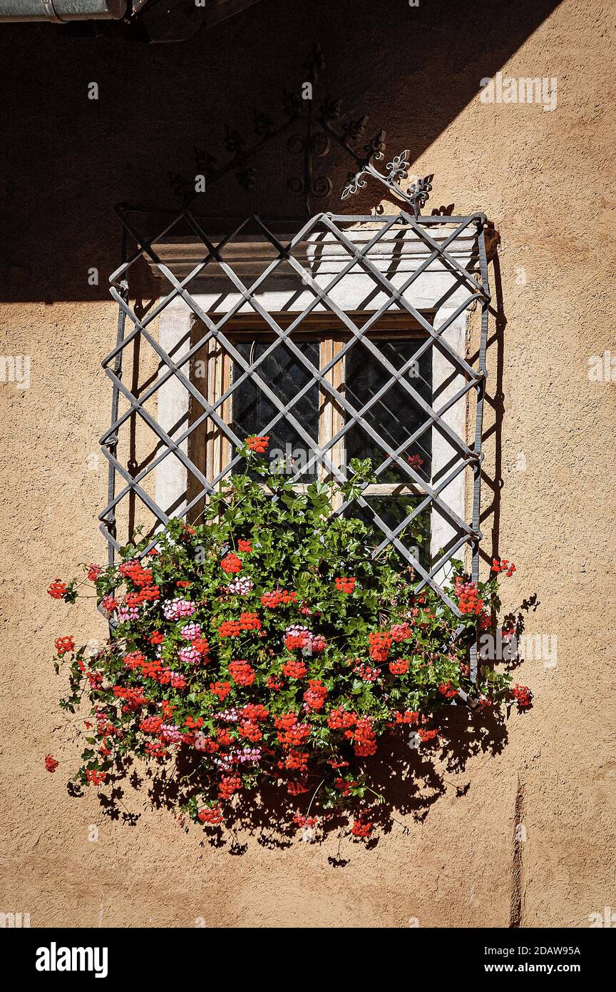 Closeup of a window with red geraniums flower and wrought iron security ...