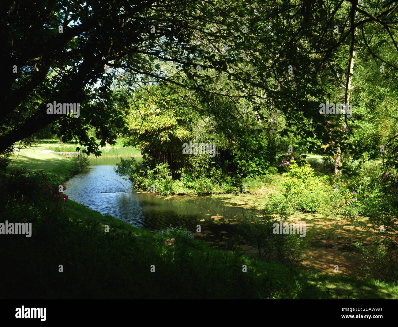 River allen cornwall hi-res stock photography and images - Alamy
