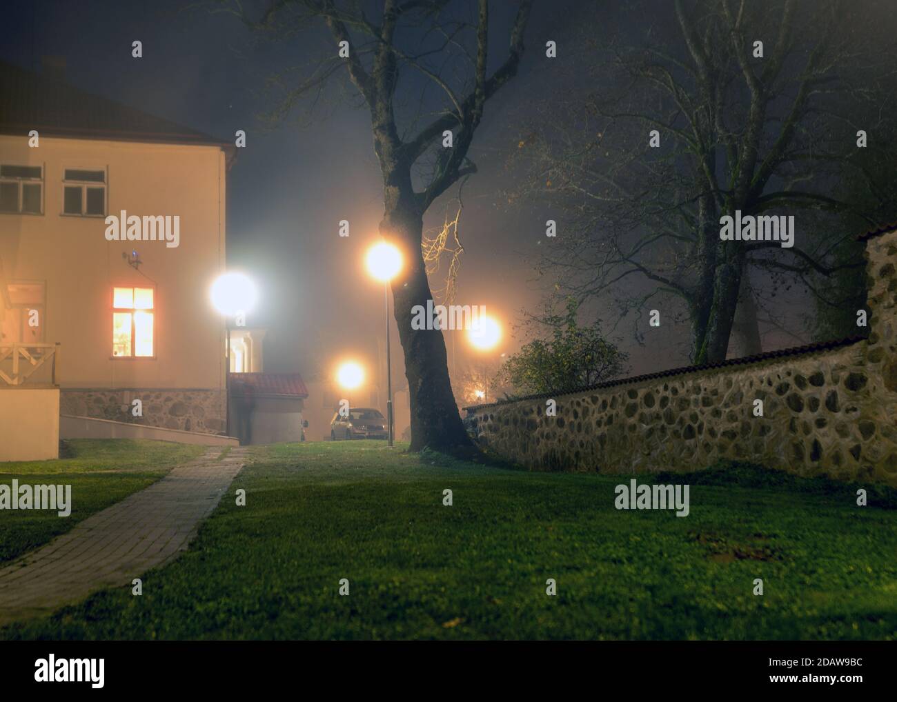 fog landscape, bright and illuminated building, illuminated trees in ...