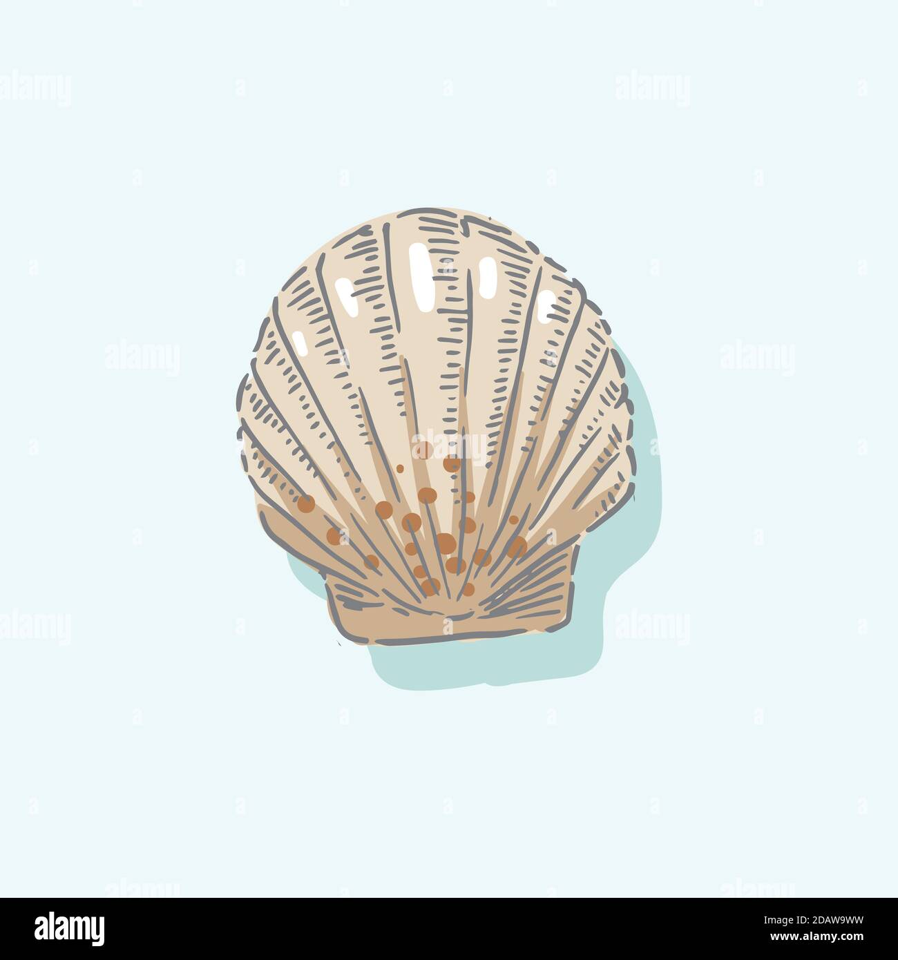 Seashell, shell, sea, mollusk, shellfish, nautical illustration Stock ...