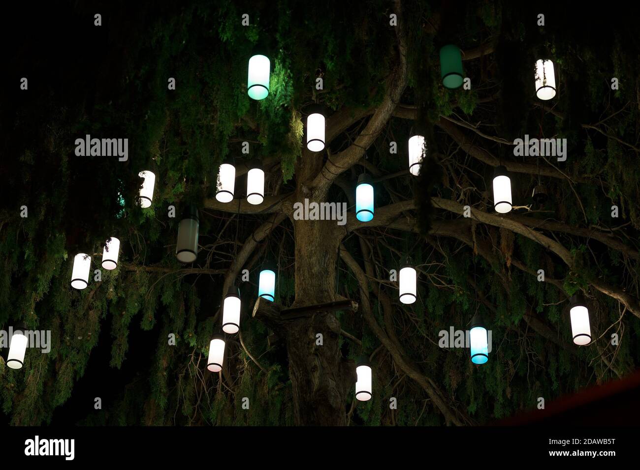 Night ceremony decoration with a lot of vintage lamps and candles on ...