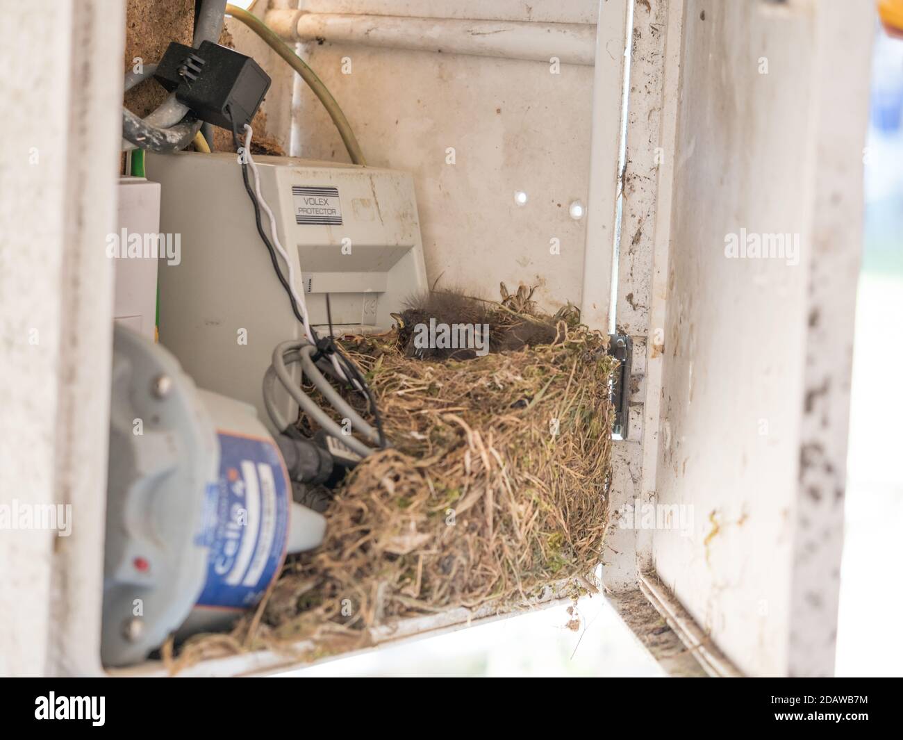 Electric meter box hi-res stock photography and images - Alamy