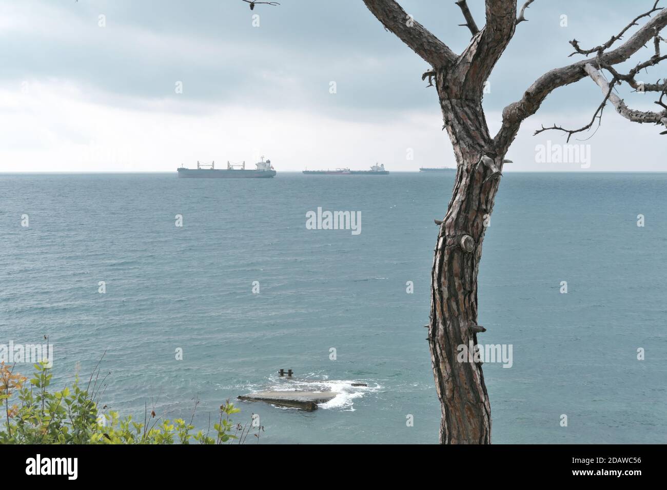 Concept navigation sail tree hi-res stock photography and images - Alamy