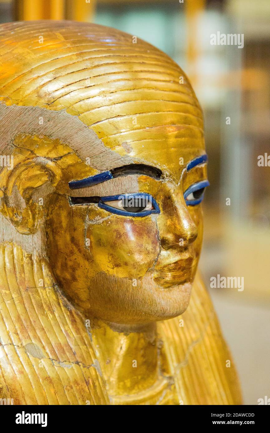 Thuya yuya hi-res stock photography and images - Alamy