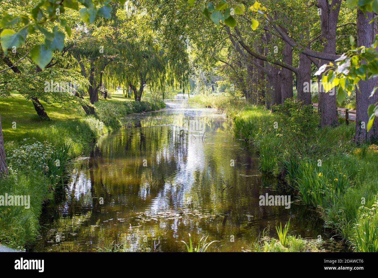Reeds River Bank Riverbank High Resolution Stock Photography and Images ...