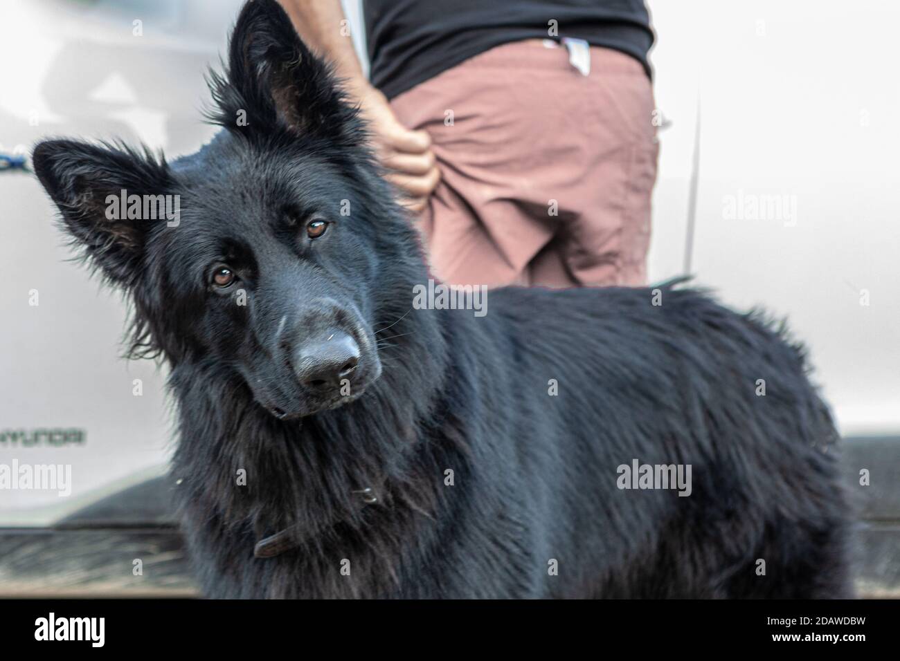 Hairy Head Man High Resolution Stock Photography and Images - Alamy