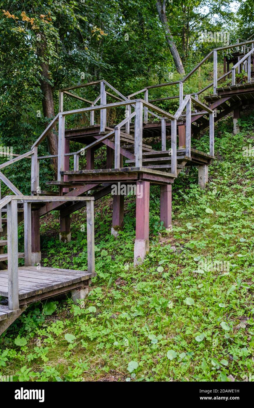 wooden boardwalk trail in green autumn forest with perspective and ...