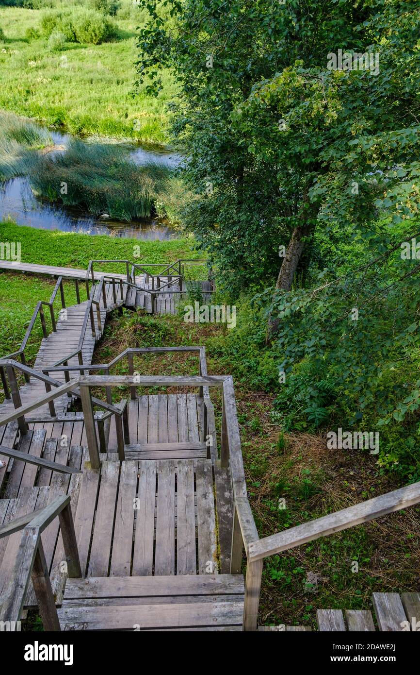 wooden boardwalk trail in green autumn forest with perspective and ...
