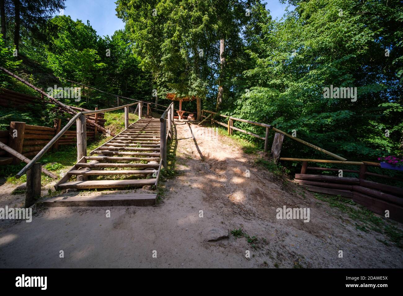 wooden boardwalk trail in green autumn forest with perspective and ...
