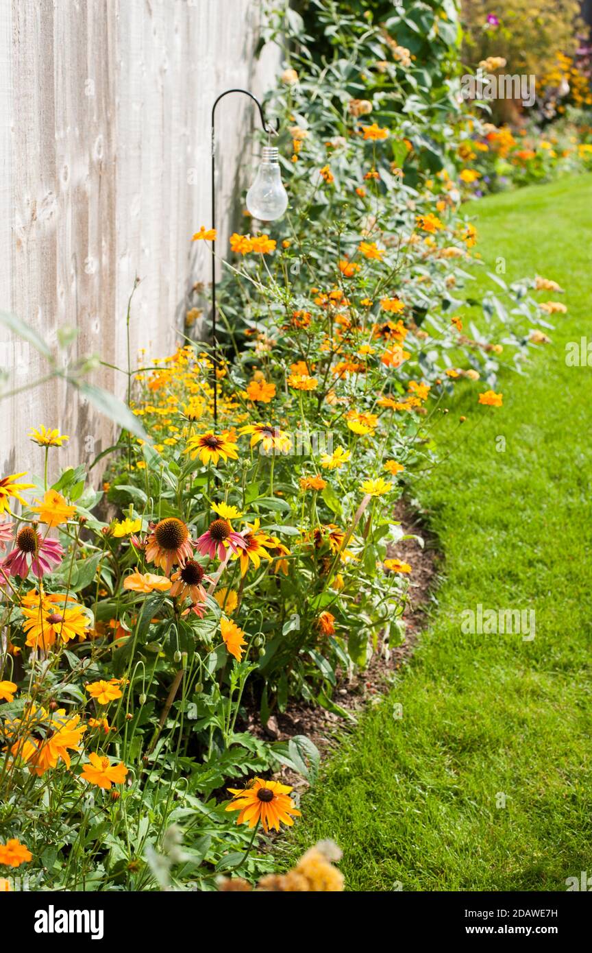 Echinacea ‘Cheyenne Spirit’, Coneflower, growing with Rudbeckia 'All ...