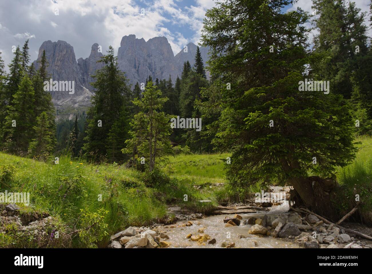 An alpine river in the Dolomites, Italy Stock Photo - Alamy