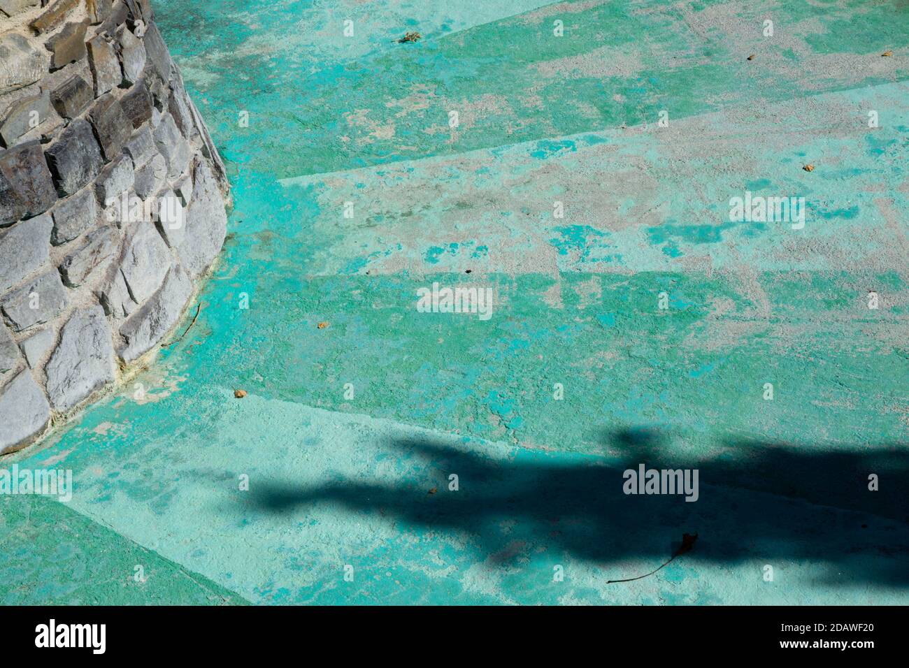 blue colored ground with dry leaves Stock Photo - Alamy