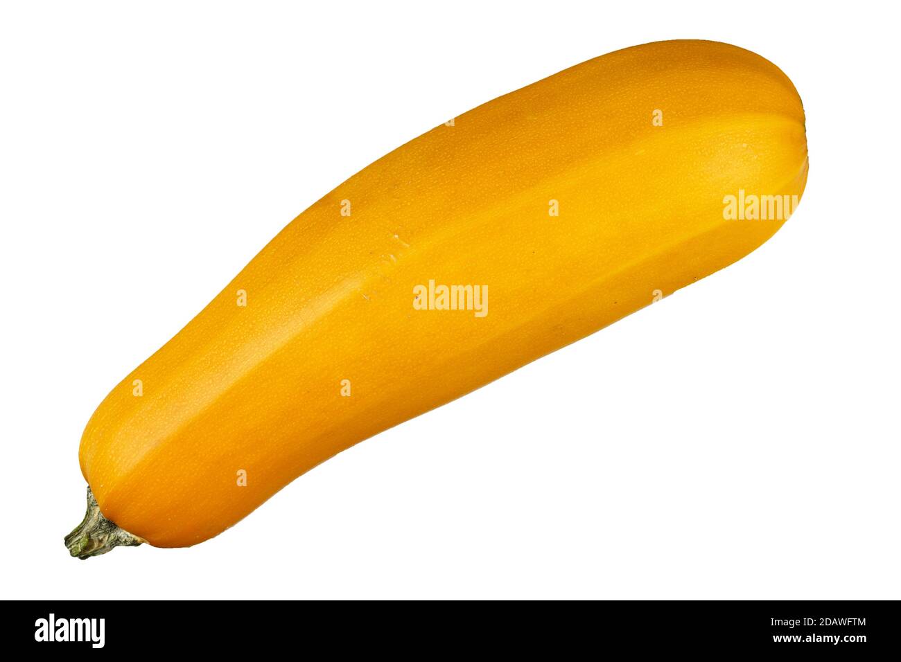 Vegetable marrow Cut Out Stock Images & Pictures - Alamy