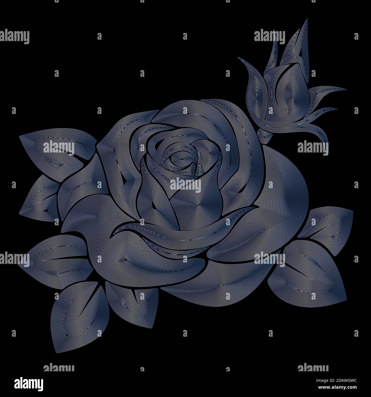 Rose on a black background, silver rose, linear art, vector ...