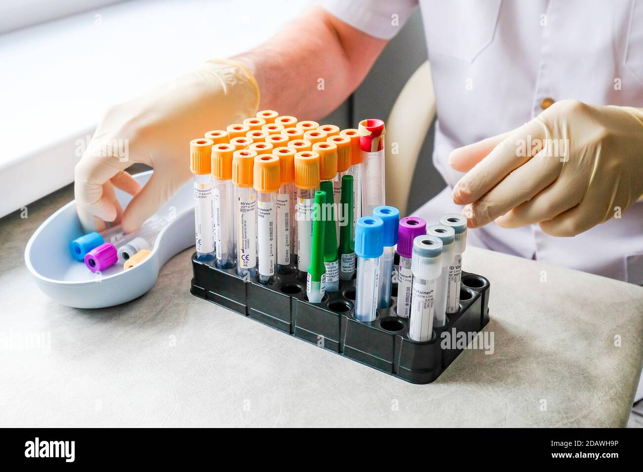 Medical test tubes in a stand. Nurse work with tools Stock Photo - Alamy