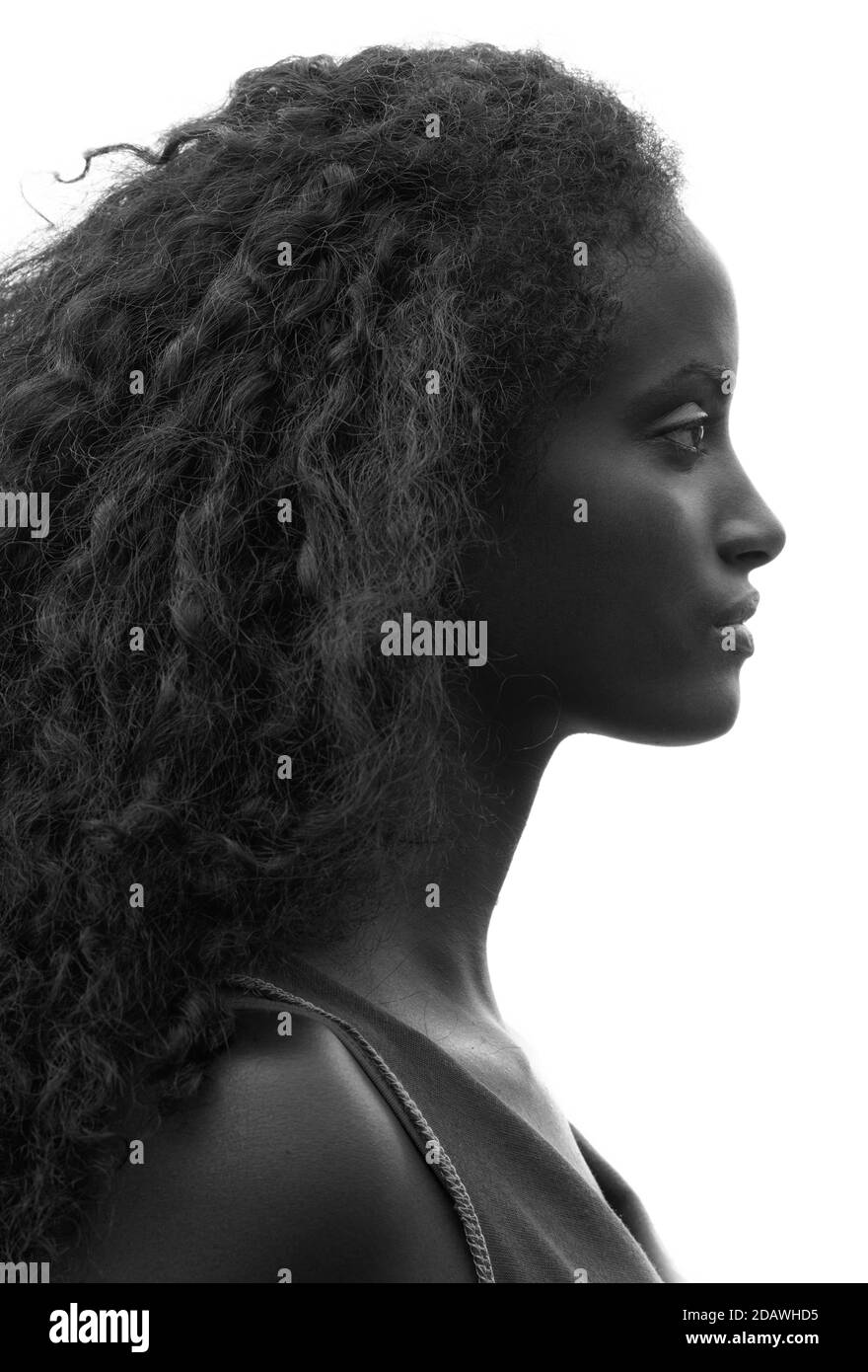 A portrait on white background Stock Photo - Alamy