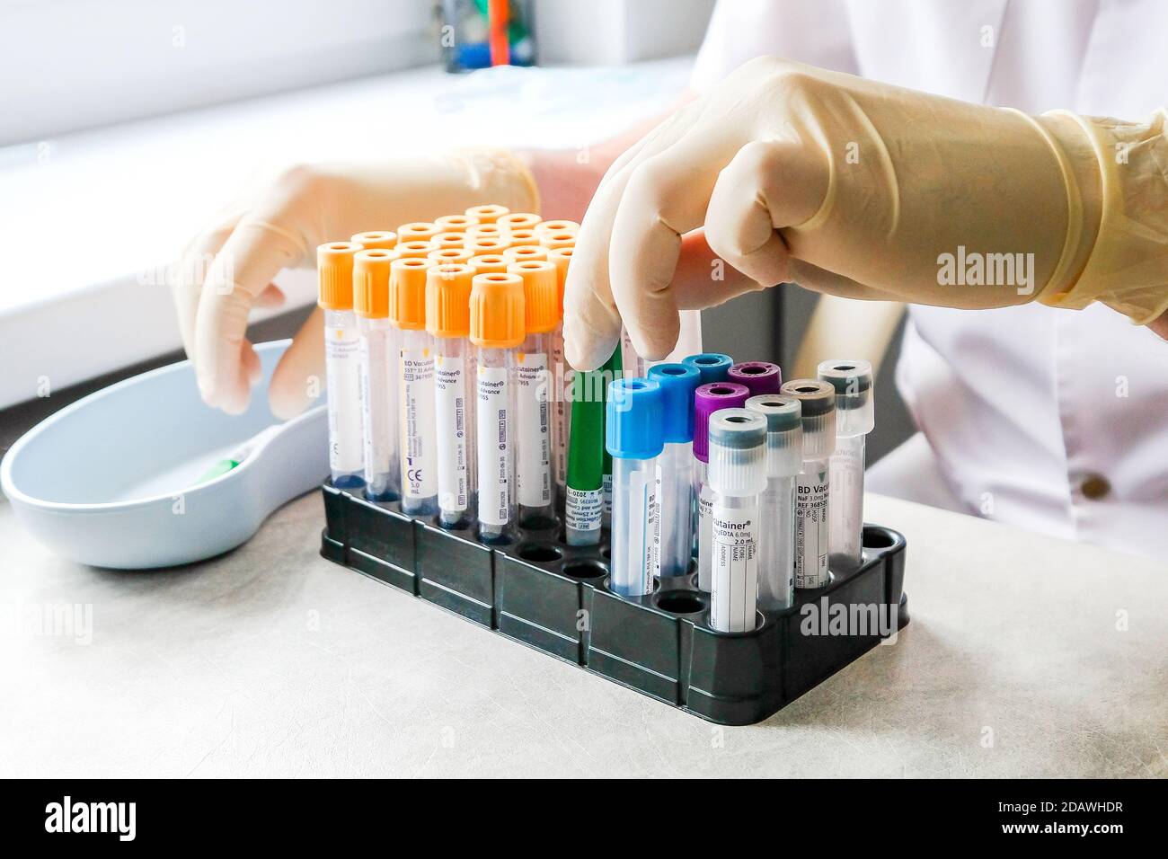 Medical test tubes in a stand. Nurse work with tools Stock Photo - Alamy