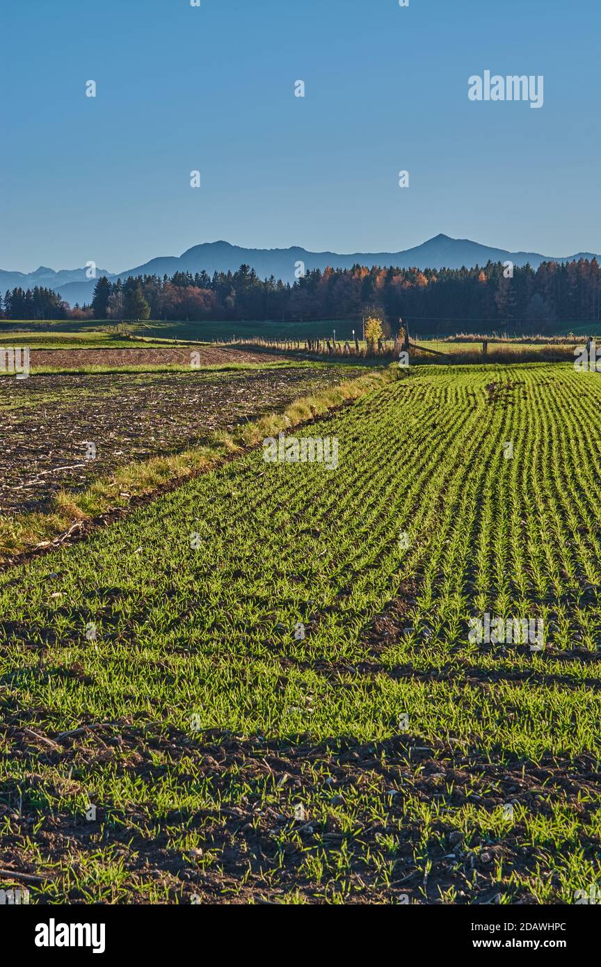 Agriculture in the mountains hi-res stock photography and images - Alamy