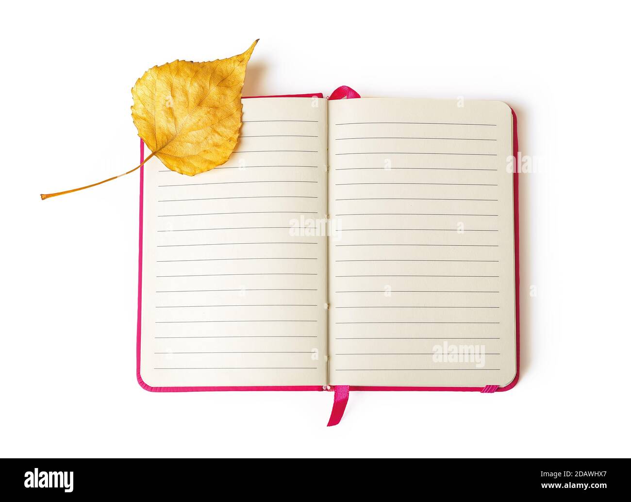 Yellow fall leaf on the upper left corner of an open notebook with ...