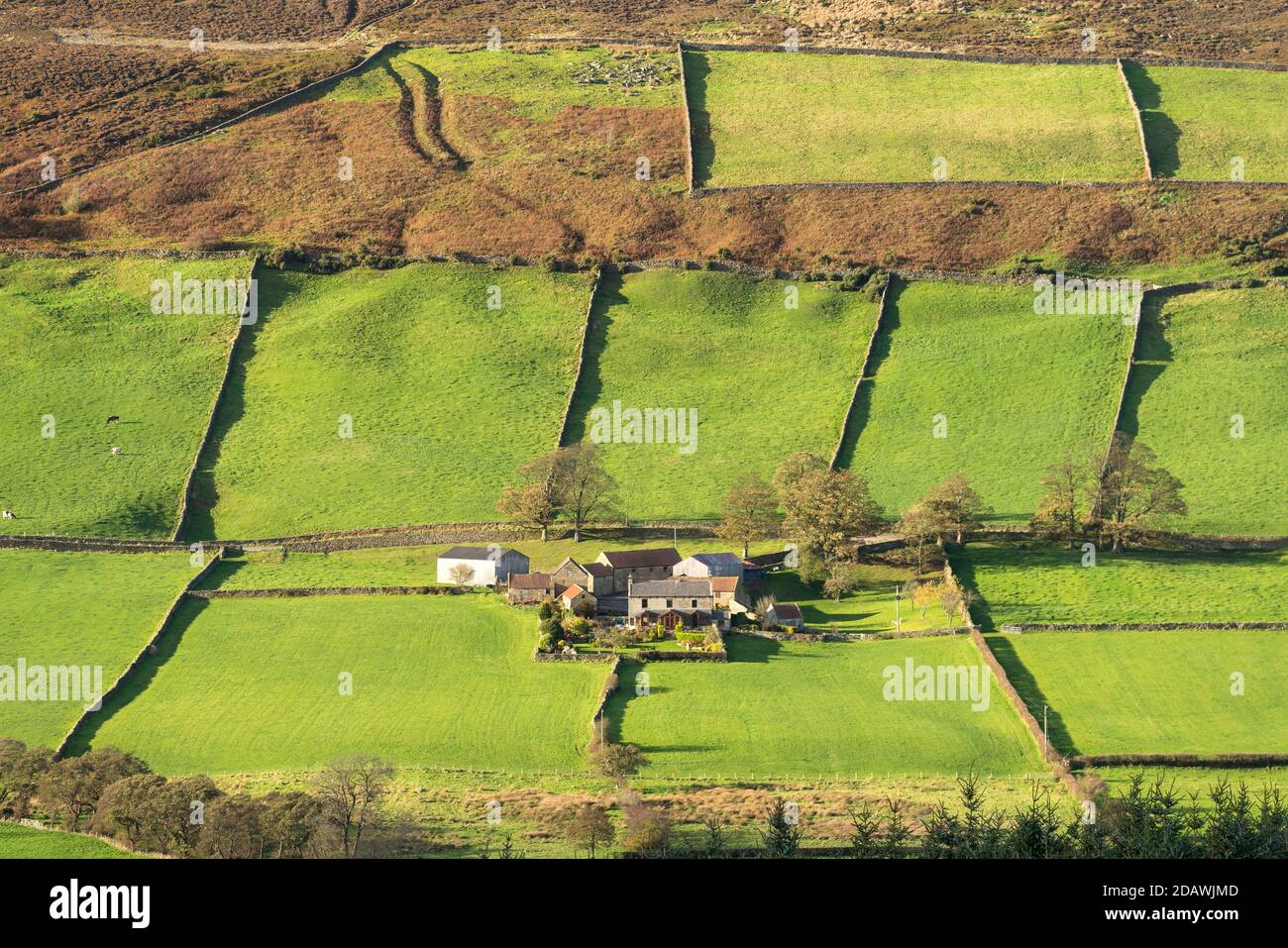 Long shadows isolated farms and green fields in Glaisdale, The North ...