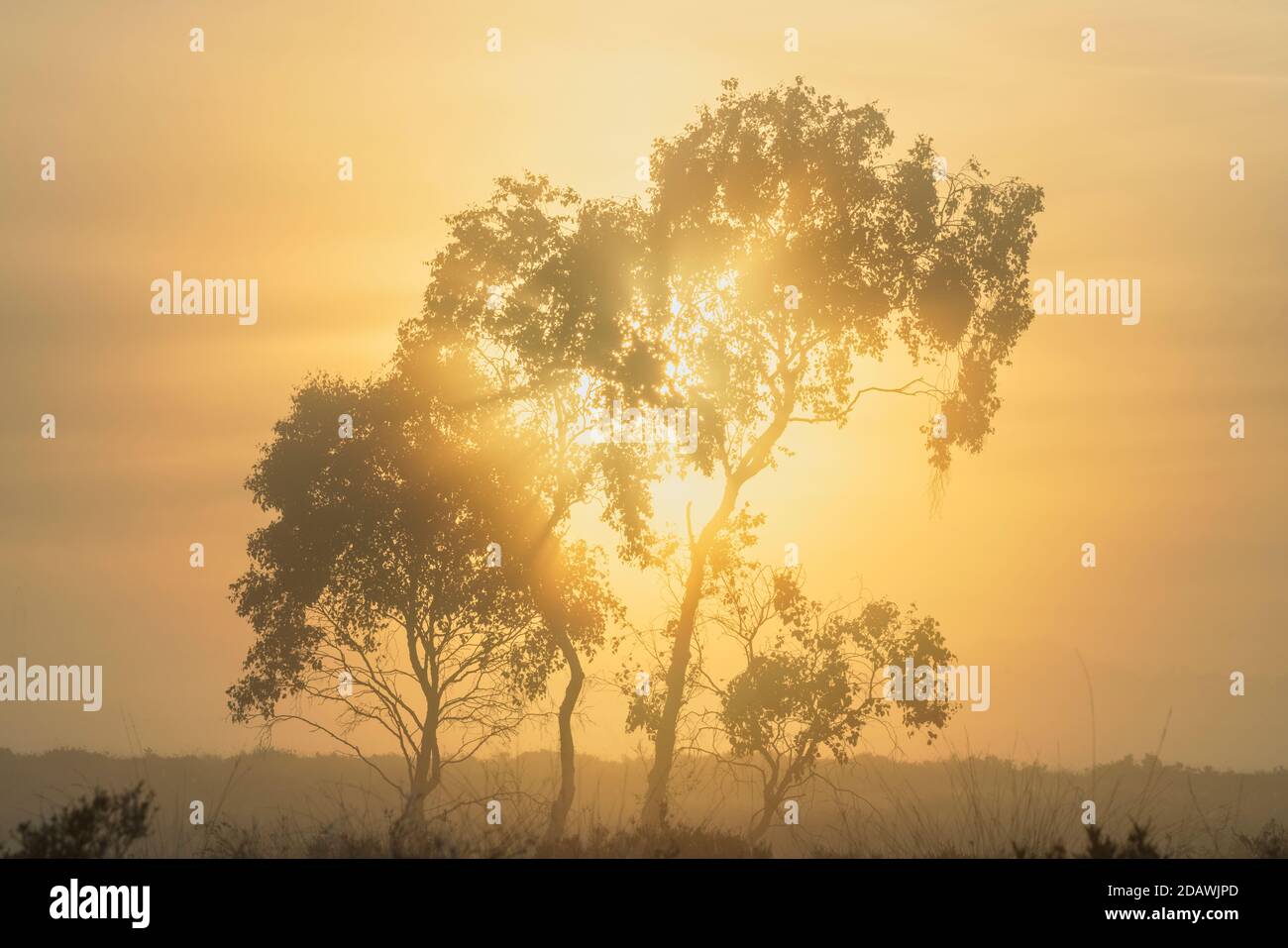 York yorkshire england uk september hi-res stock photography and images ...