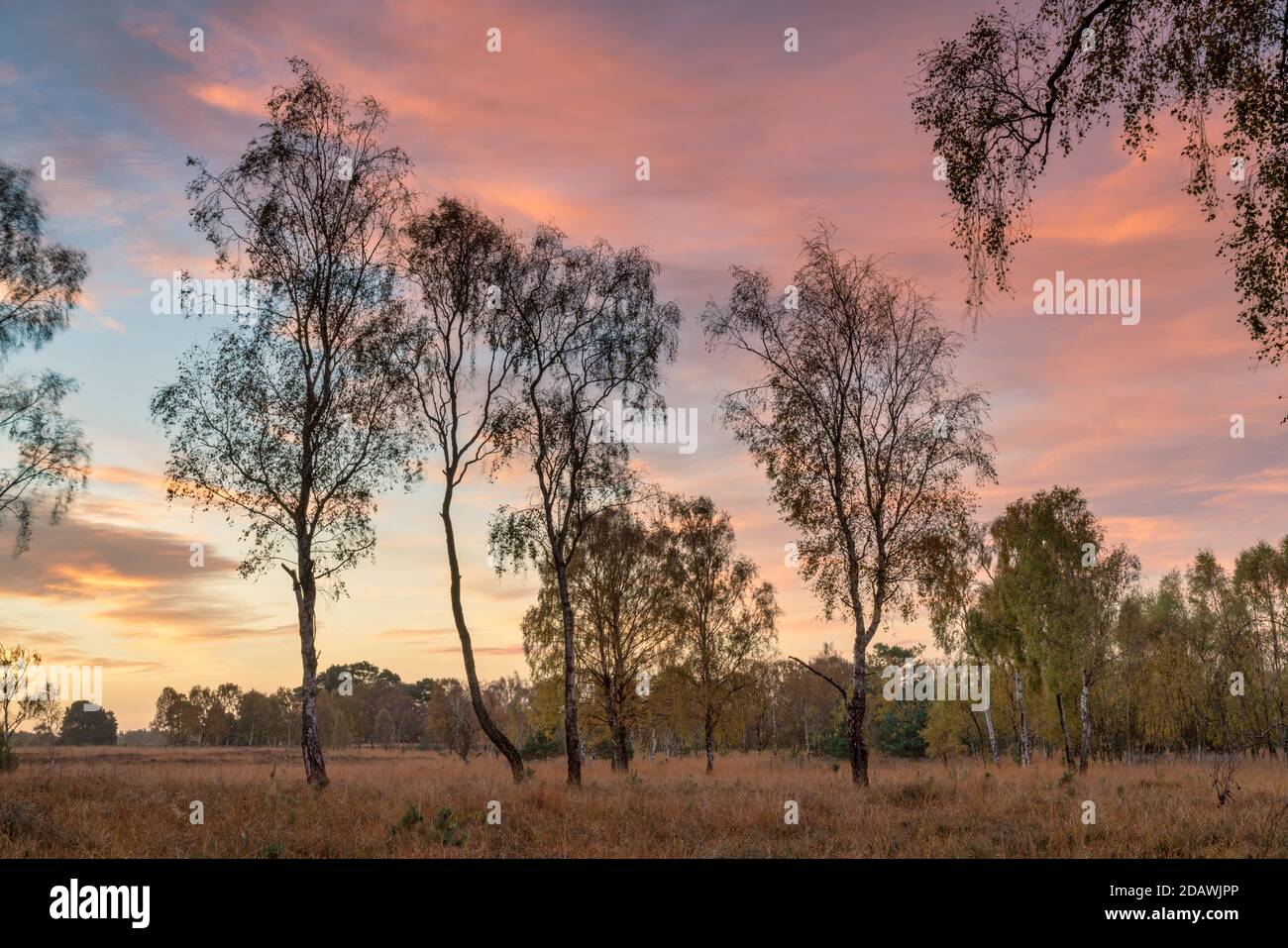 Strensall hi-res stock photography and images - Alamy