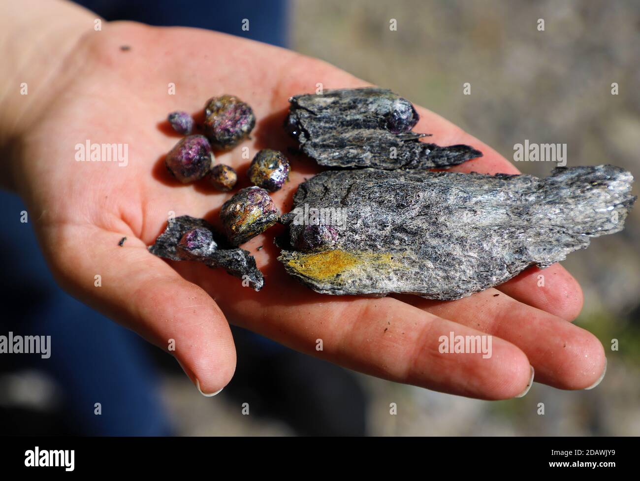 Pinky red crystals, gemstones mined by hammer manually. Closse up ...