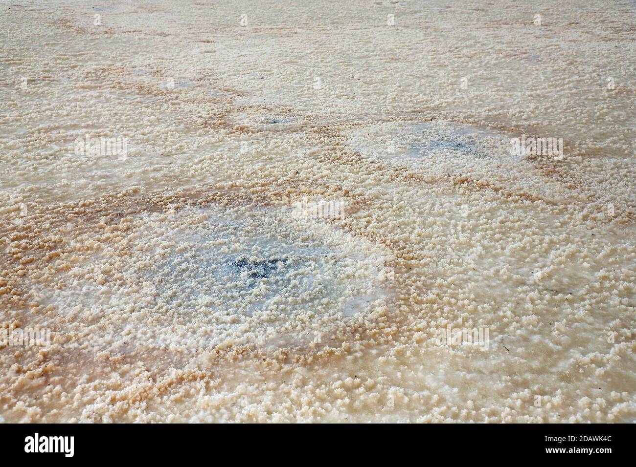 Dry lake pattern salt desert hi-res stock photography and images - Alamy