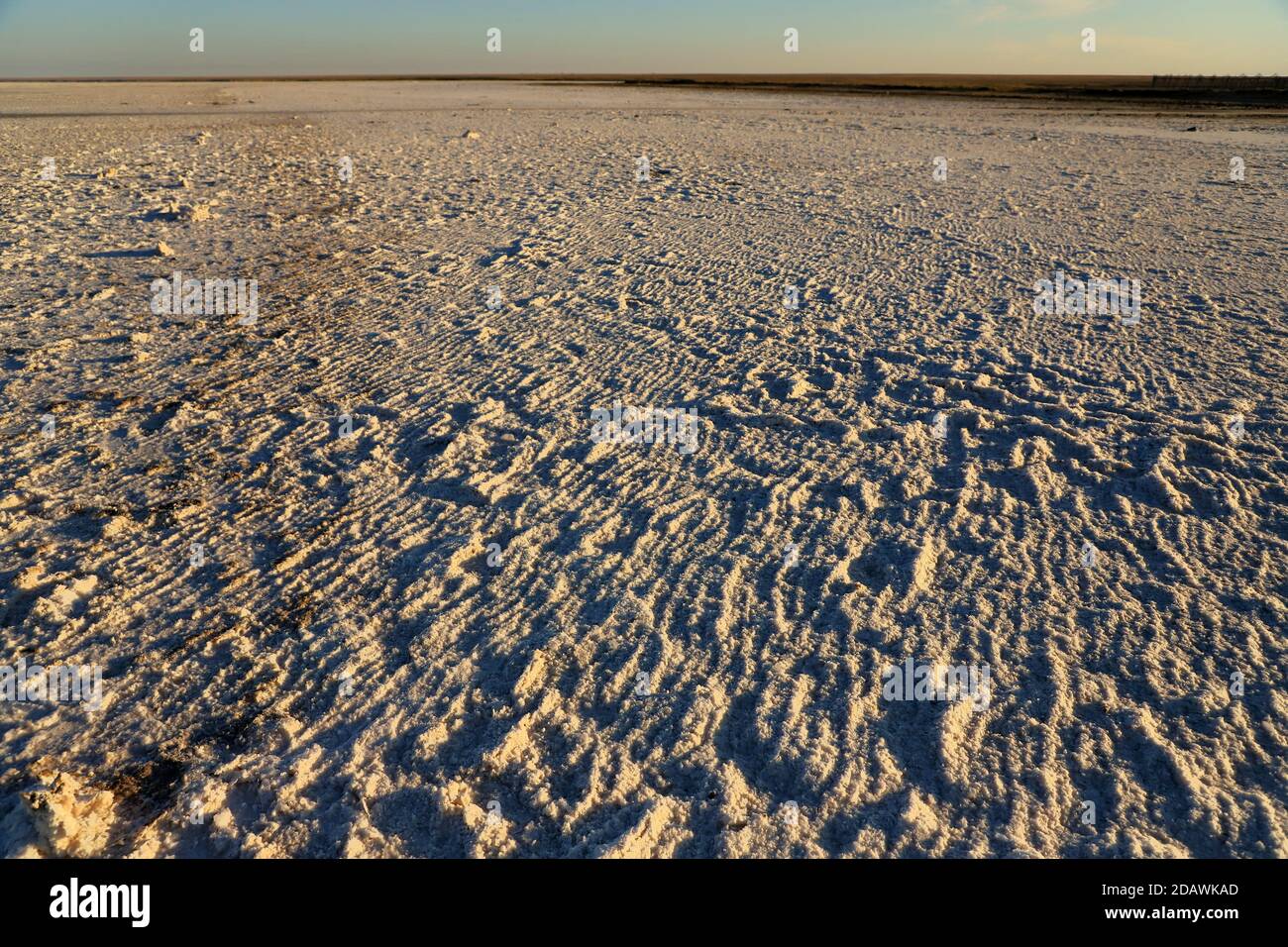 Stunning texture hi-res stock photography and images - Alamy