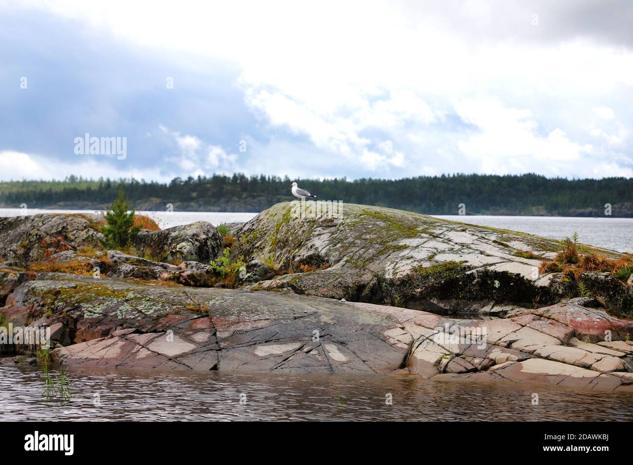 Lakeshore photography hi-res stock photography and images - Alamy
